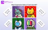 Cool Cats NFT: These is not just pictures, but a future gamified large ...