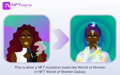 World of Women: NFT project for women around the world to equalize ...