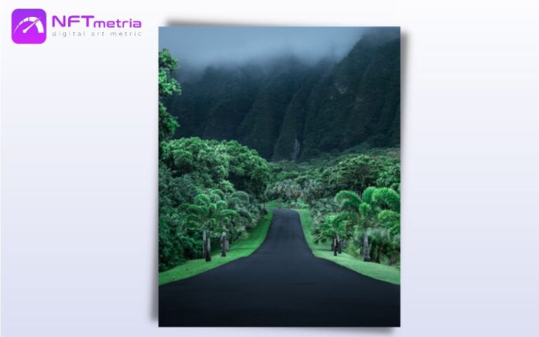 Who is Cath Simard? NFT artist who captures nature in a unique way